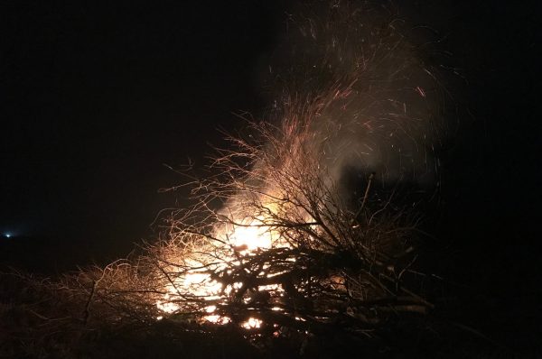 Biikebrennen: Nordfriesland „on fire“ - Klönstedt